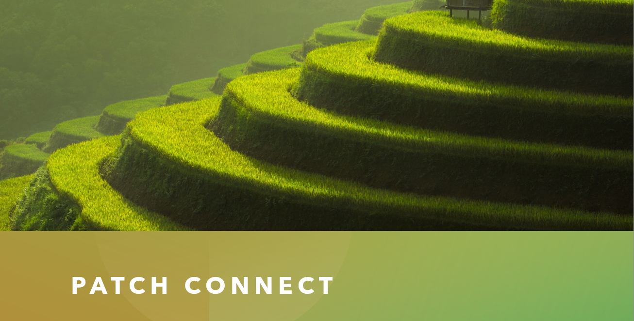Unified Management Across Microsoft SCCM Intune With Patch Connect Plus ... Unified Management Across Microsoft SCCM Intune With Patch Connect Plus ...